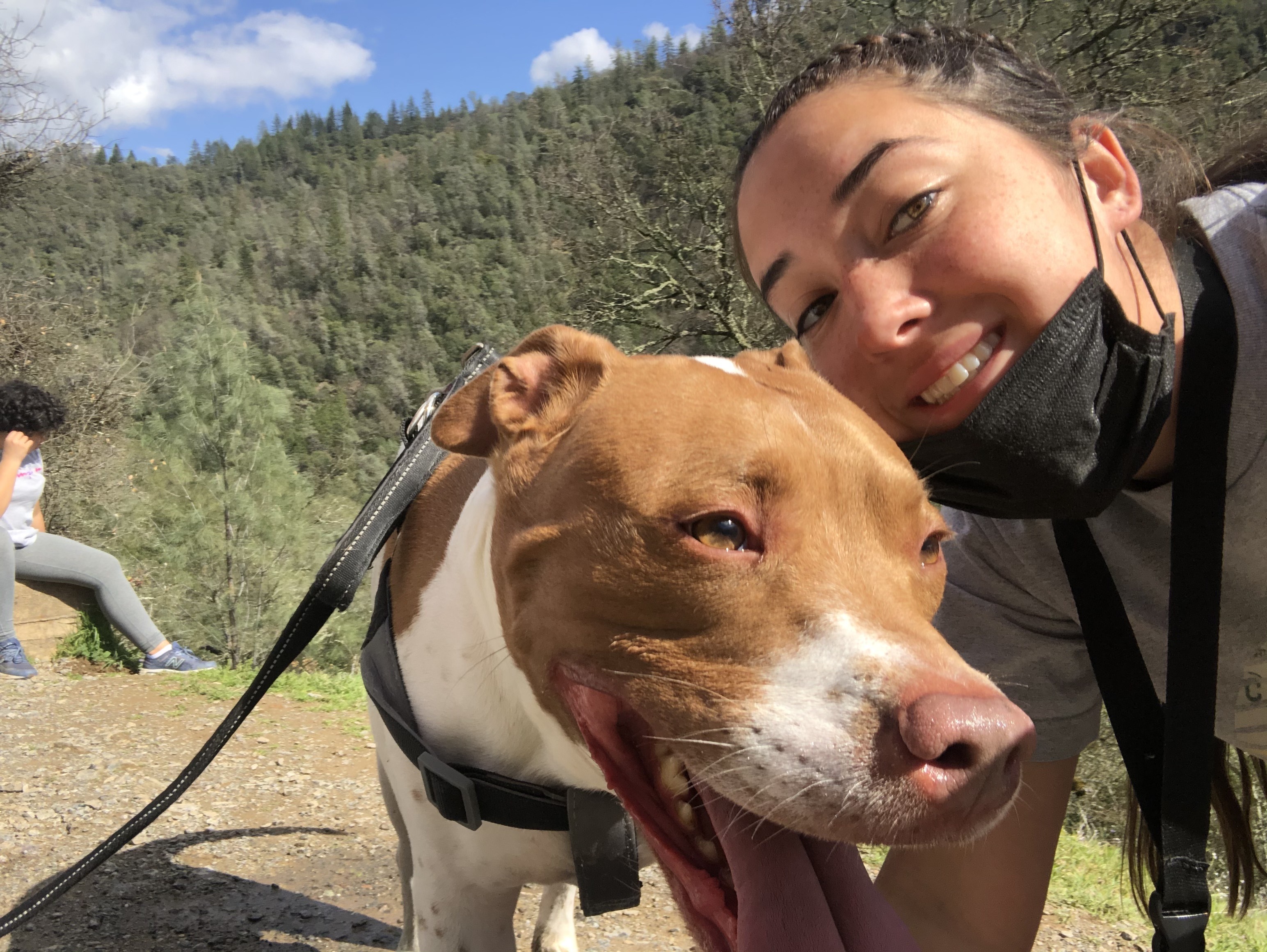 GitHub - carrie-murchison/gitHello