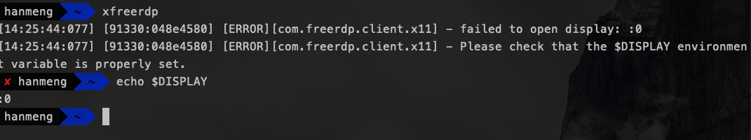 failed to open display: :0 · Issue #7735 · FreeRDP/FreeRDP · GitHub