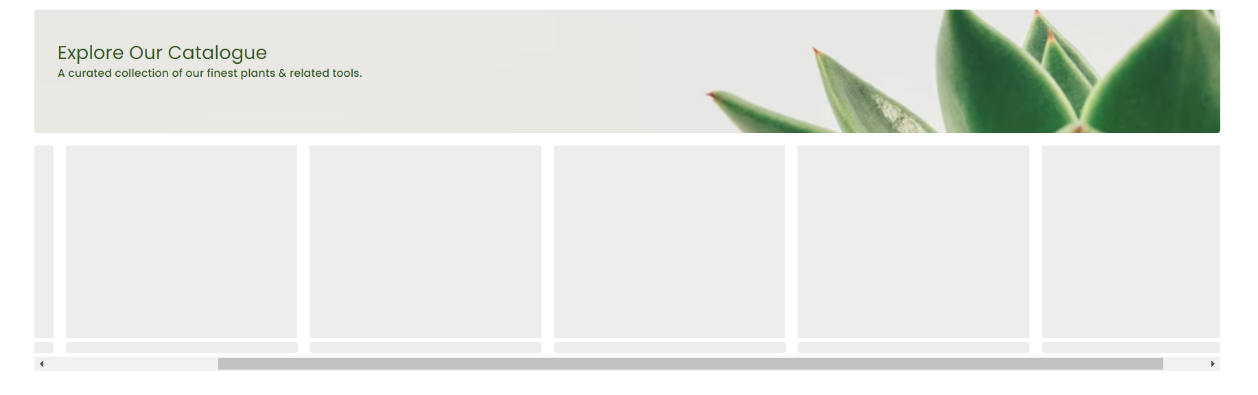 How To Implement Horizontal Scrollbar In A React Project · Issue 601 · Grsmtosimplebar · Github