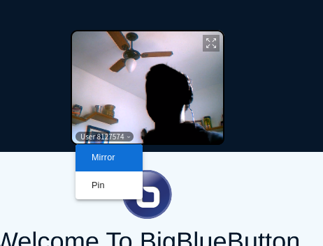 Undo webcam mirroring label is missing · Issue #15768 · bigbluebutton/bigbluebutton · GitHub