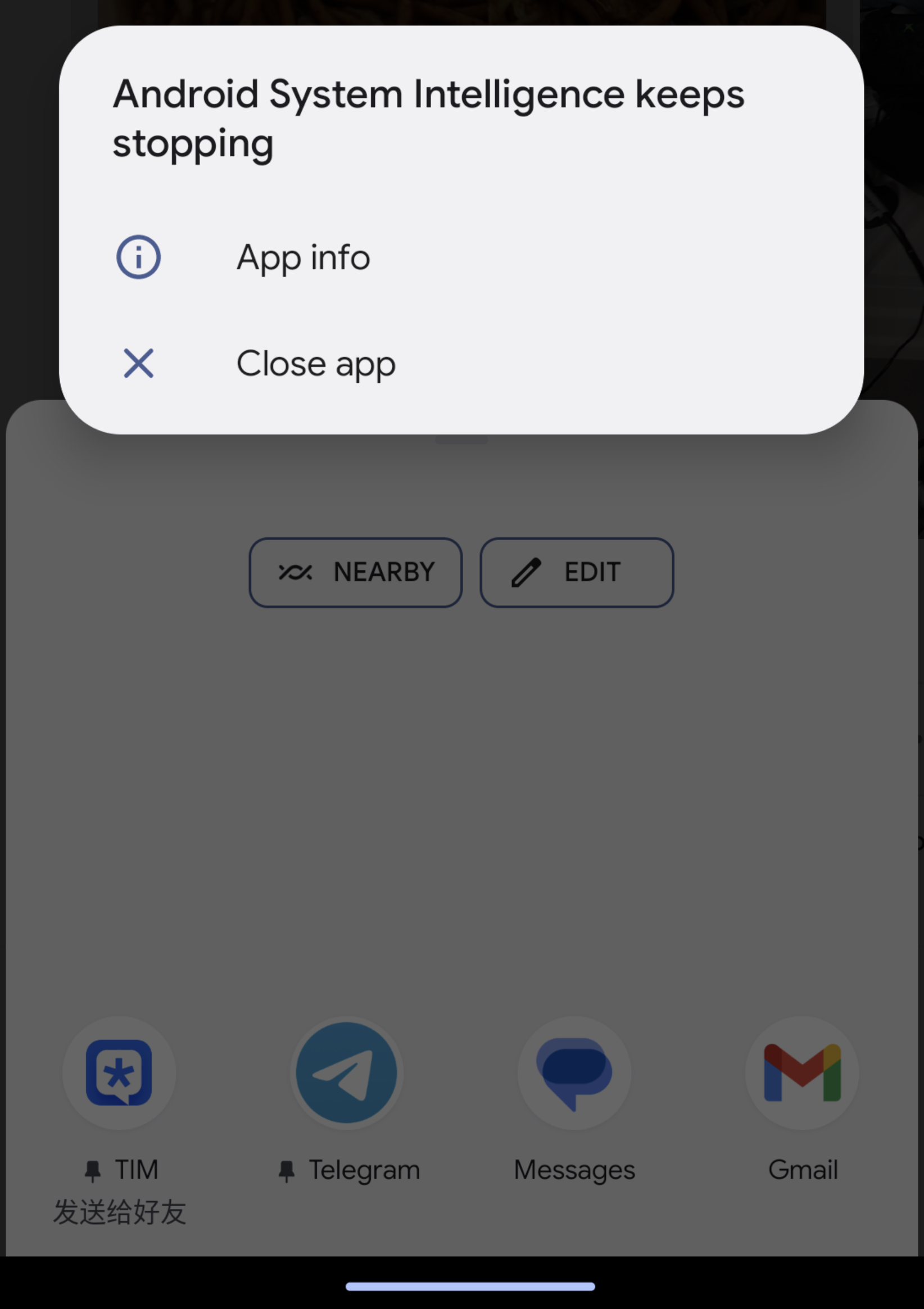 Android system intelligence keeps stopping when sharing files · Issue #168 · Kingsman44/Pixelify ...