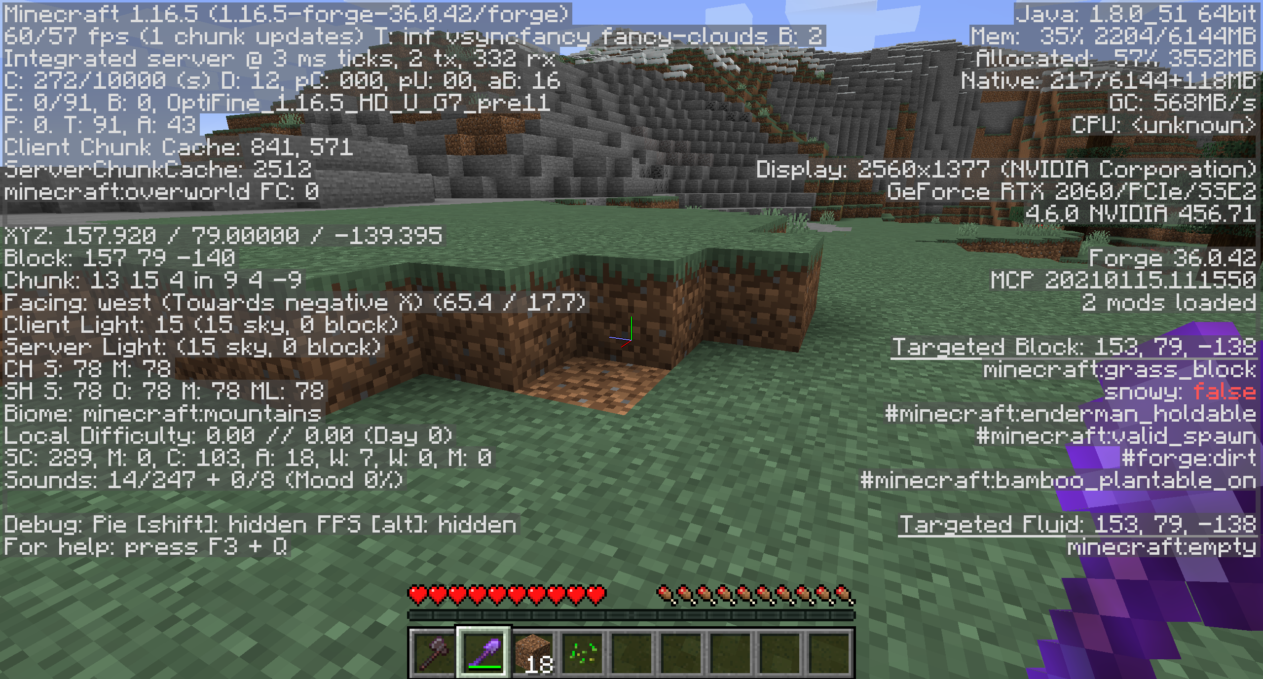 [Minor Bug] Dropped items can be invisible even if still obtainable ...