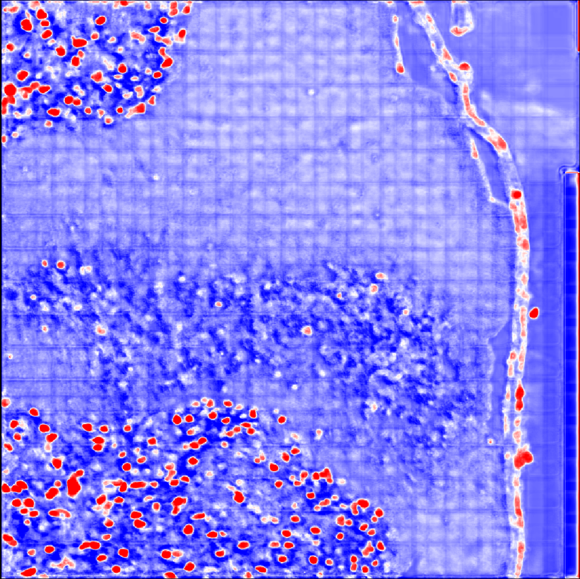Handling Normalization of Large Images · Issue #608 · MouseLand ...
