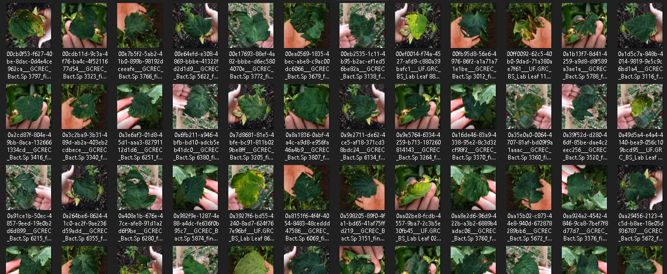 GitHub - TCC-visao-agro/data-augmentation