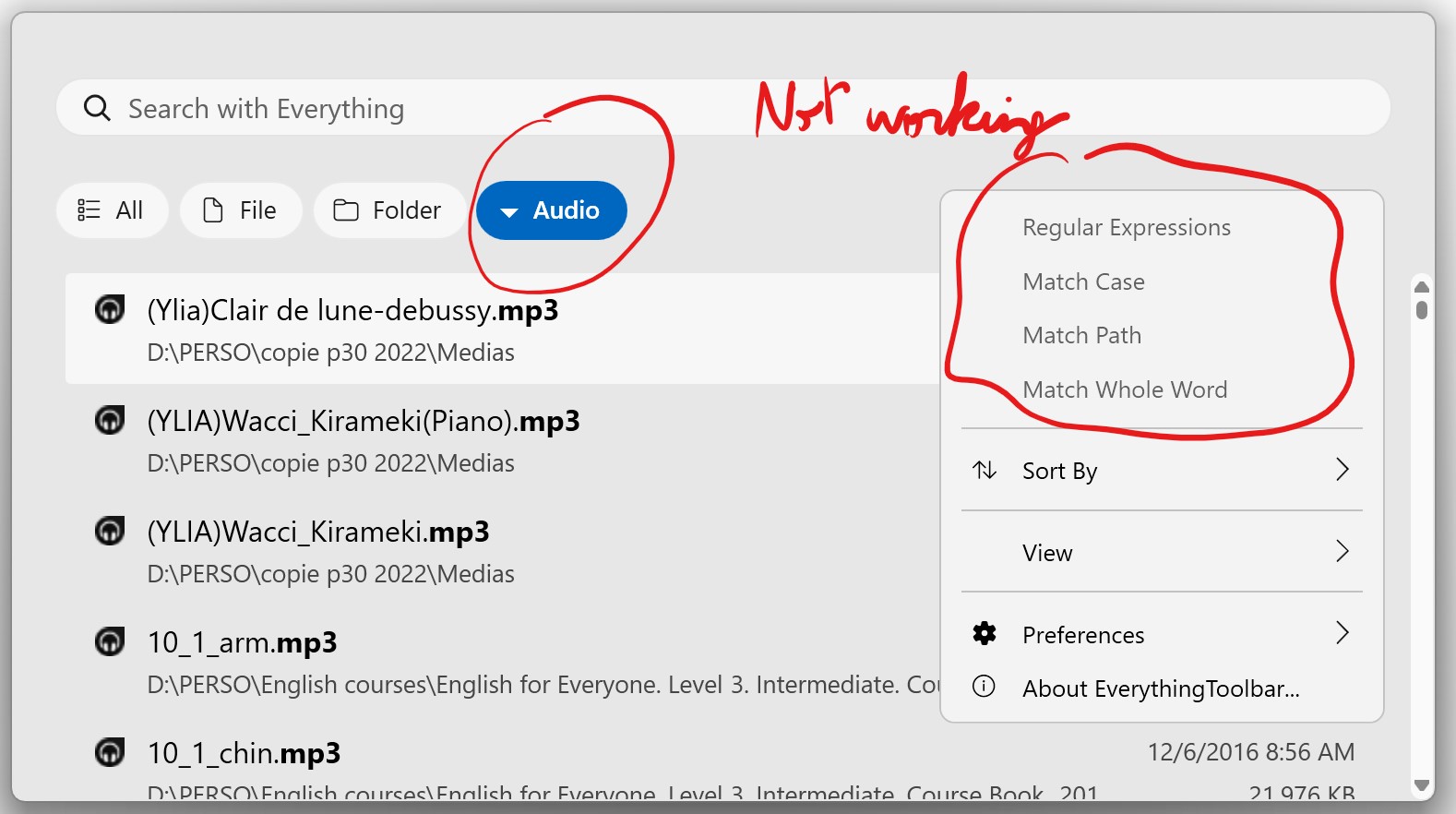 "More" filter - Can't select search flags (Match Case, Match Whole Word ...