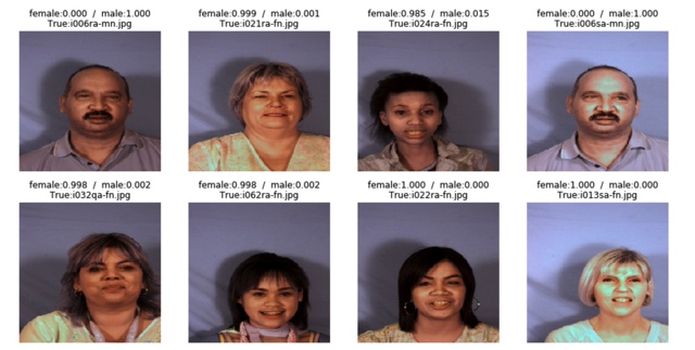 GitHub - ebikazuki/transfer_learning: ブログ：「Tensorflowで転移学習をする方法」のソースコード