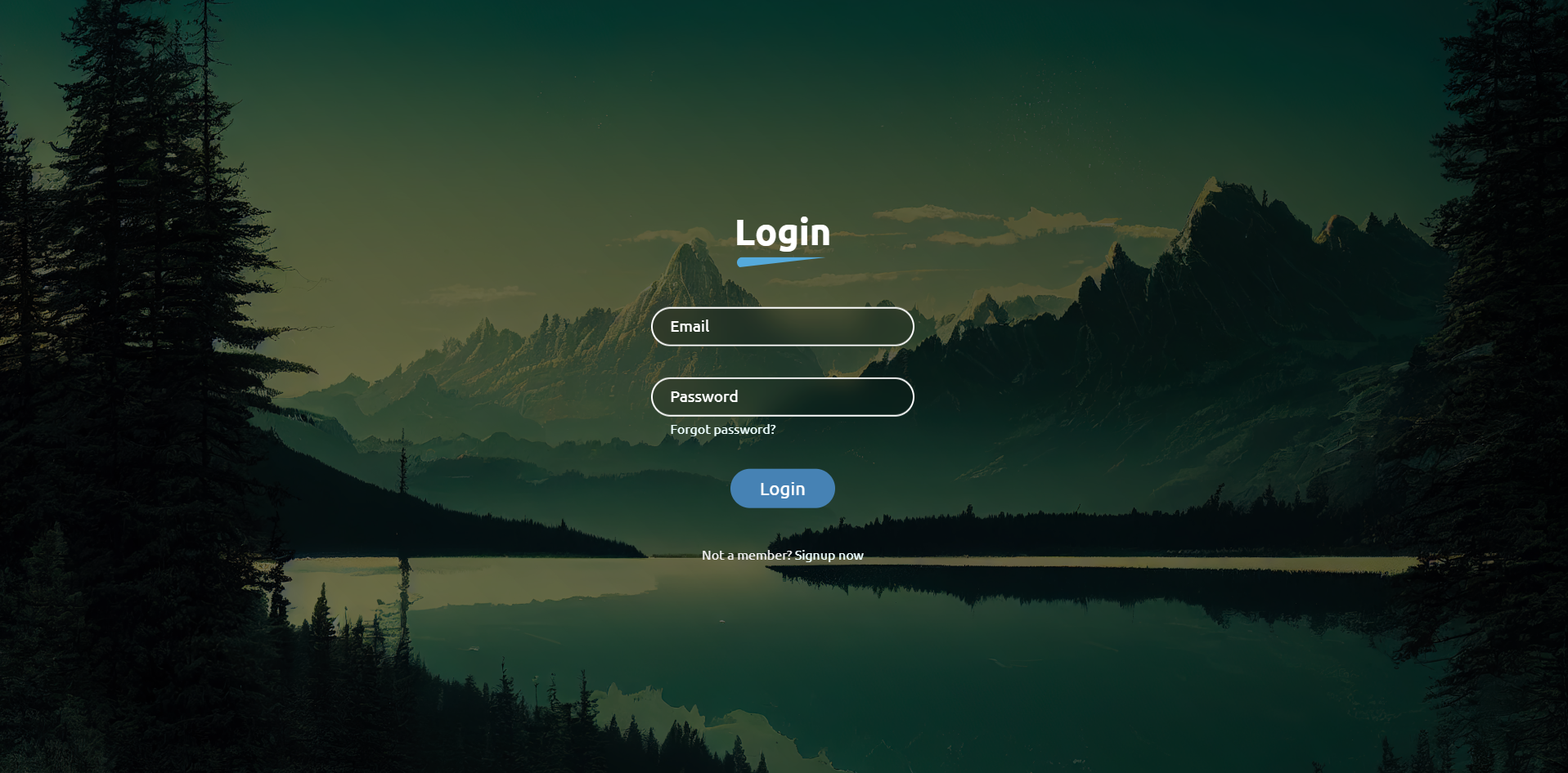 GitHub - rizwan9500/Login-Sign-Up-Page-with-Local-Storage-Feature ...