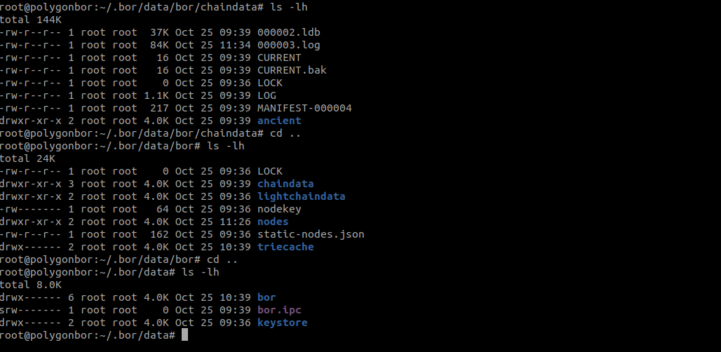 Check if a Bor light client can run standalone · Issue #164 · threefoldfoundation/tft · GitHub