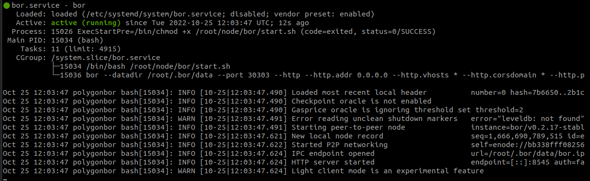 Check if a Bor light client can run standalone · Issue #164 · threefoldfoundation/tft · GitHub
