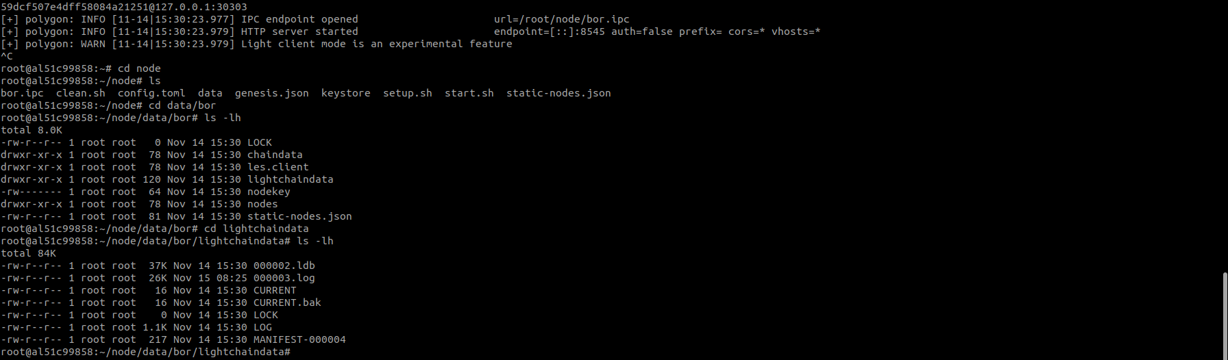 Check if a Bor light client can run standalone · Issue #164 · threefoldfoundation/tft · GitHub