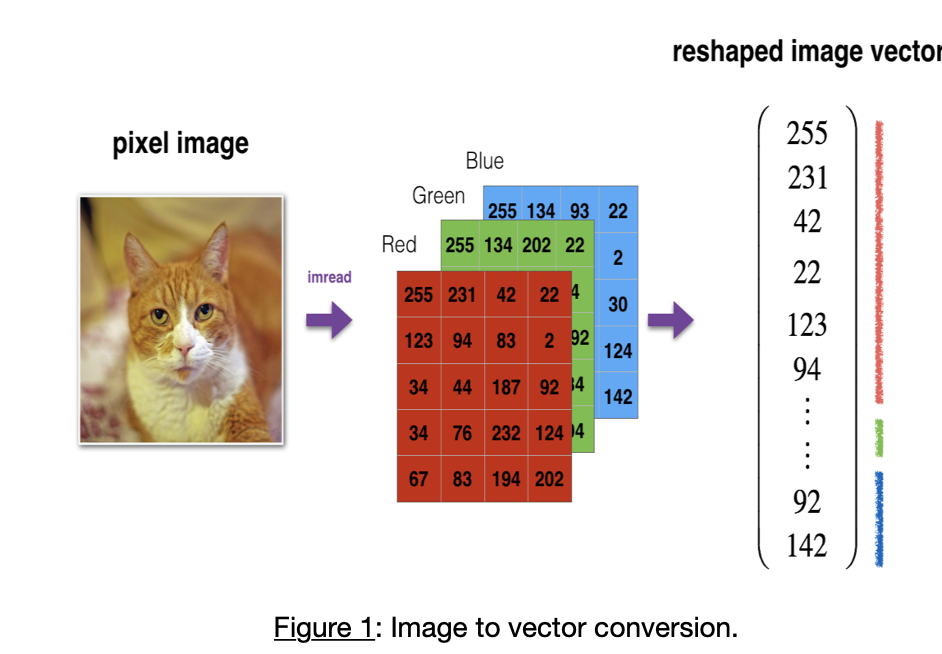 GitHub - rajeshidumalla/Cat-Recognition-using-Logistic-Regression-with-a-Neural-Network-mindset ...