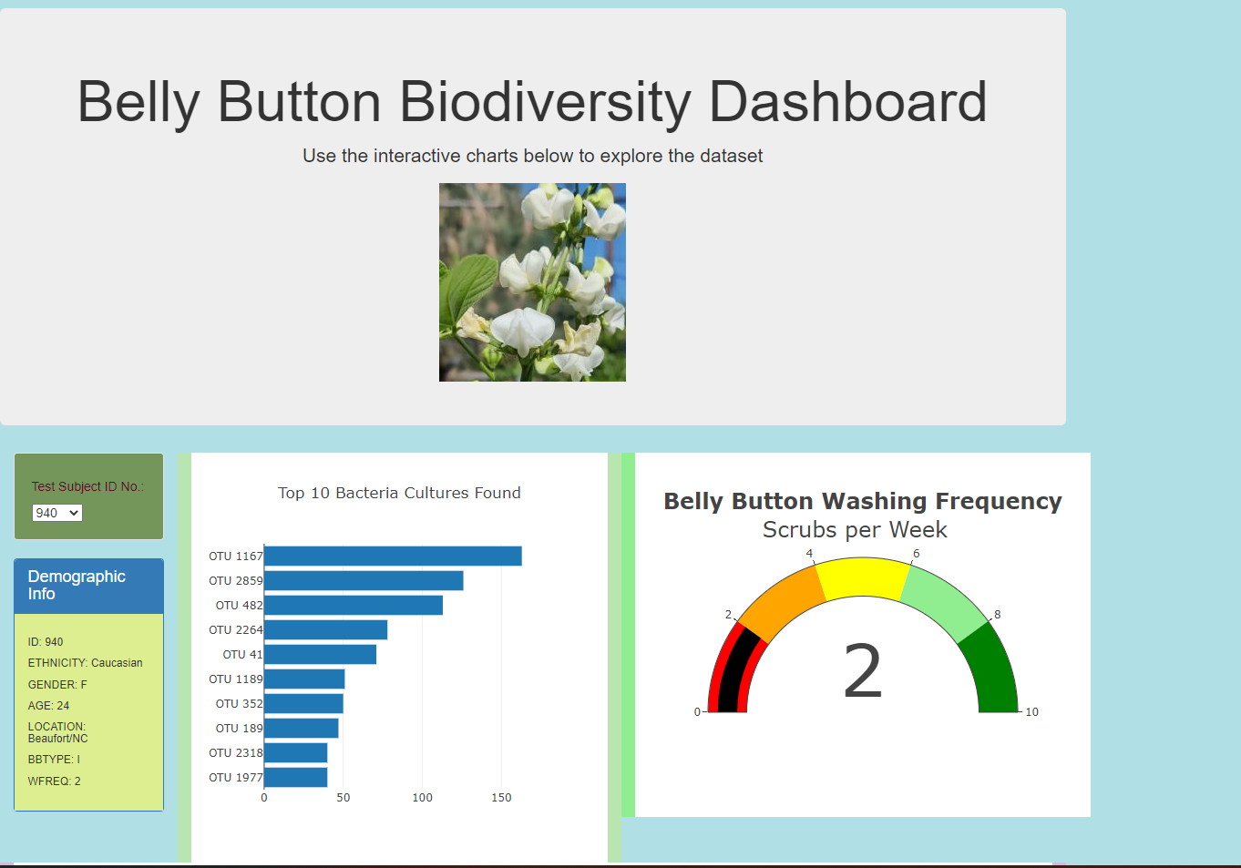GitHub - Jayanti2019/BellyButtonBiodiversity