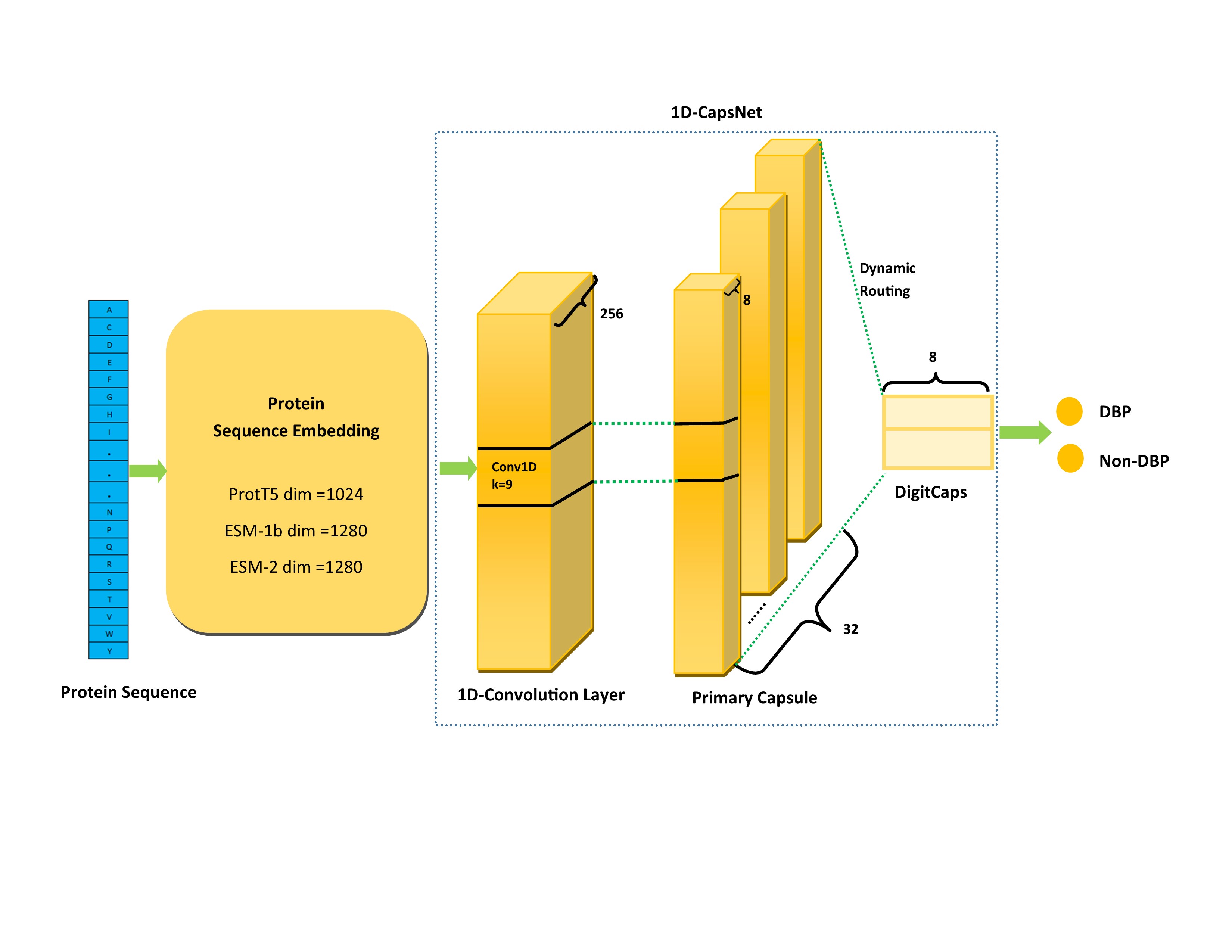 GitHub - naimji/EmbedCaps-DBP: Combination of protein sequence ...