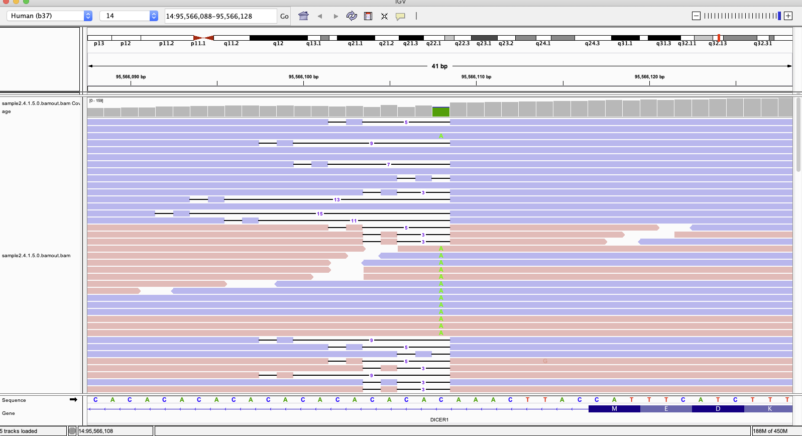 Expected variants not called by GATK 4.1.5.0 HaplotypeCaller · Issue ...