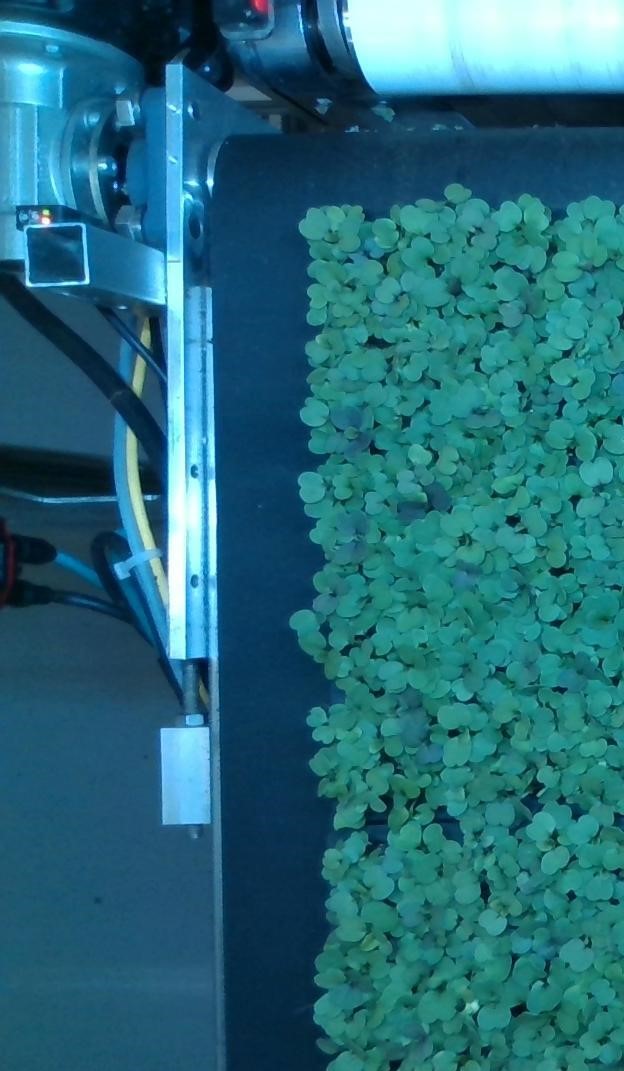 D435 RGB color variation during image captures · Issue #1354 ...