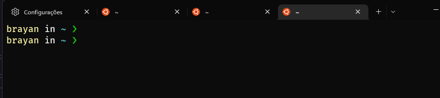 When i'm using te config, the terminal give me two line. · spaceship-prompt spaceship-prompt ...