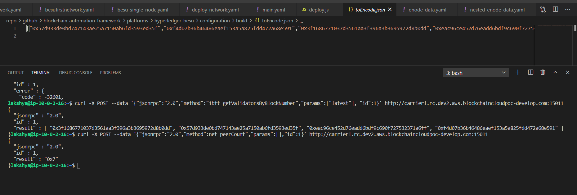 Add a logic to create non-validator peers in besu · Issue #993 ...