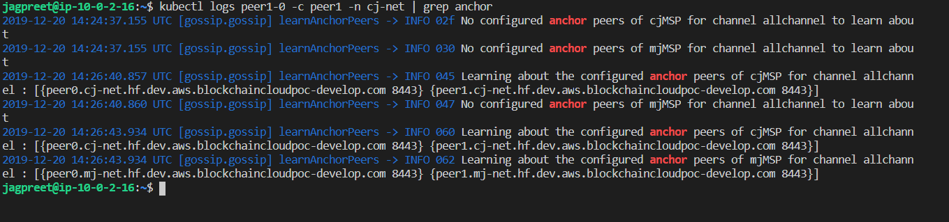 Making all peers, anchor peers · Issue #122 · hyperledger-bevel/bevel · GitHub