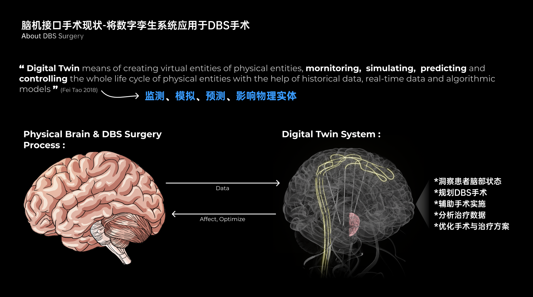 GitHub - LucyLing24/deep-brain-stimulation-surgeries-digital-twin ...