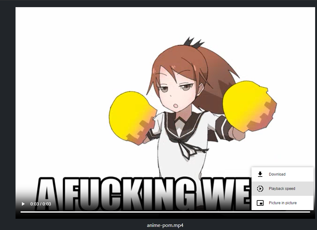 the ability to change the playback speed in video and audio · Issue #39 · ismartcoding/plain-app ...