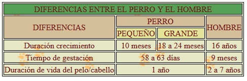 GitHub - EdgarFalco/Tablas_Div