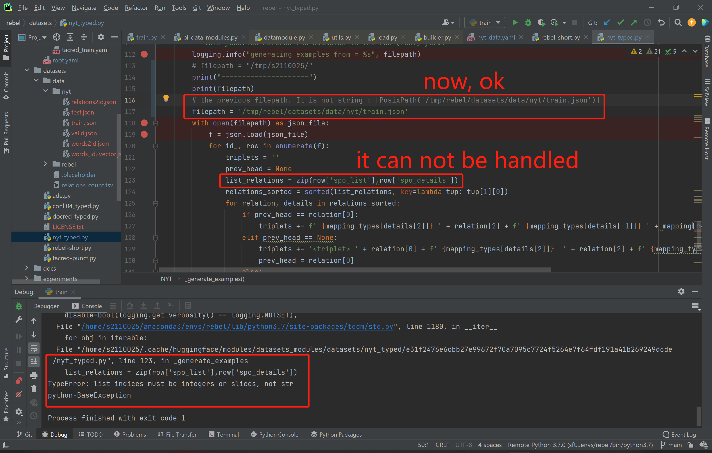 Datasets Related Problems · Issue #7 · Babelscape/rebel · GitHub