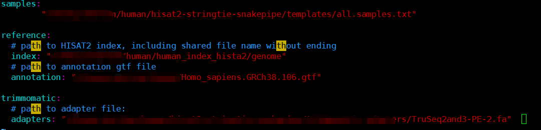 No rule to produce Snakefile (if you use input functions make sure that they don't raise ...