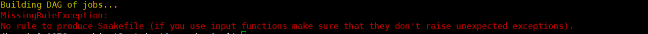 No rule to produce Snakefile (if you use input functions make sure that they don't raise ...