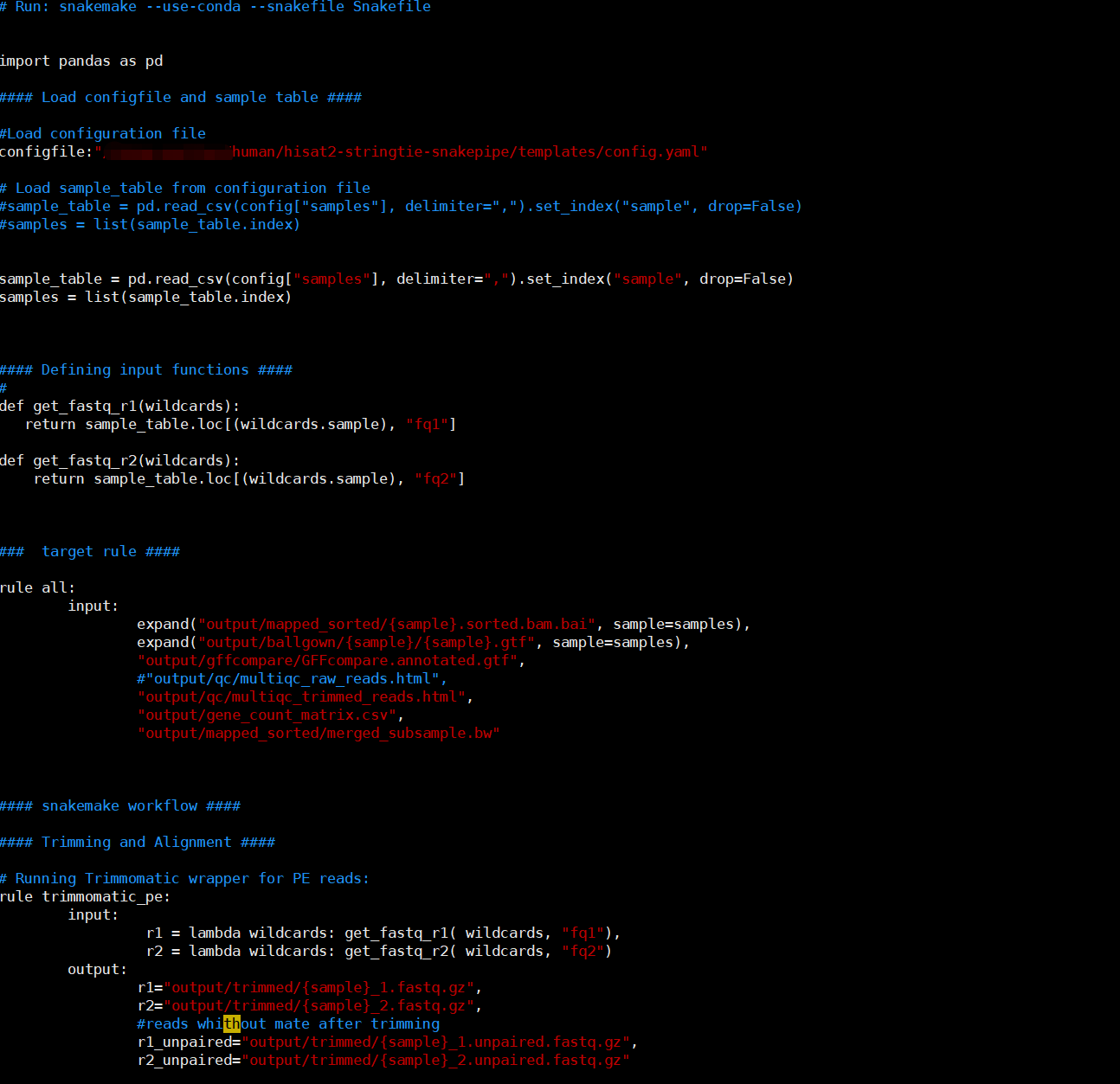 No rule to produce Snakefile (if you use input functions make sure that they don't raise ...