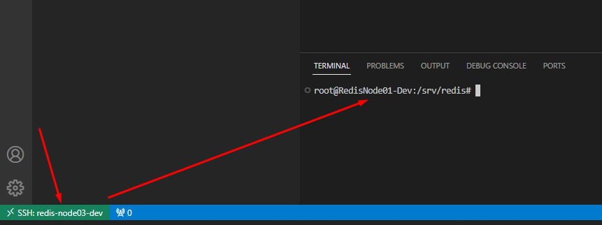 Different VS Remote connections open have same terminal from first ...