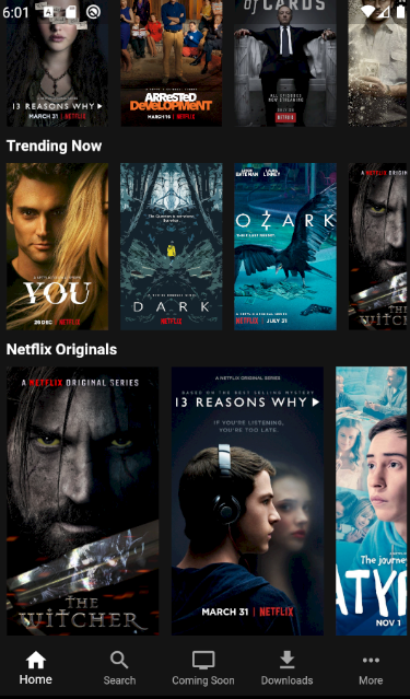 GitHub - orosiferenc3/NetflixClone: This is a Netflix UI Clone app.