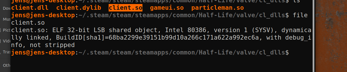What is the s**t with Half-Life Anniversary 25 years - no 64 Bit? · Issue #3434 · ValveSoftware ...
