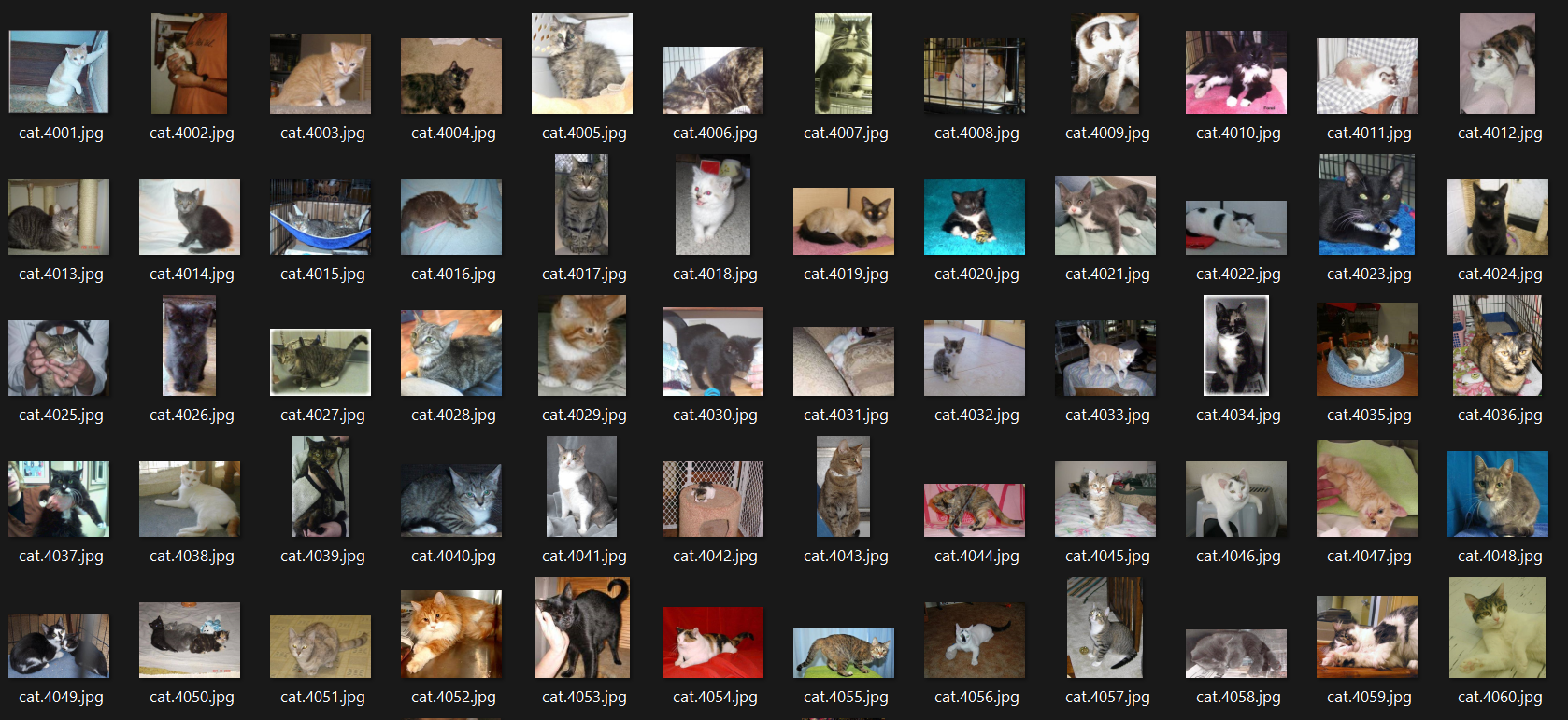 GitHub - kkeskin06/cnn-image-classification: cnn ile görüntü sınıflandırma