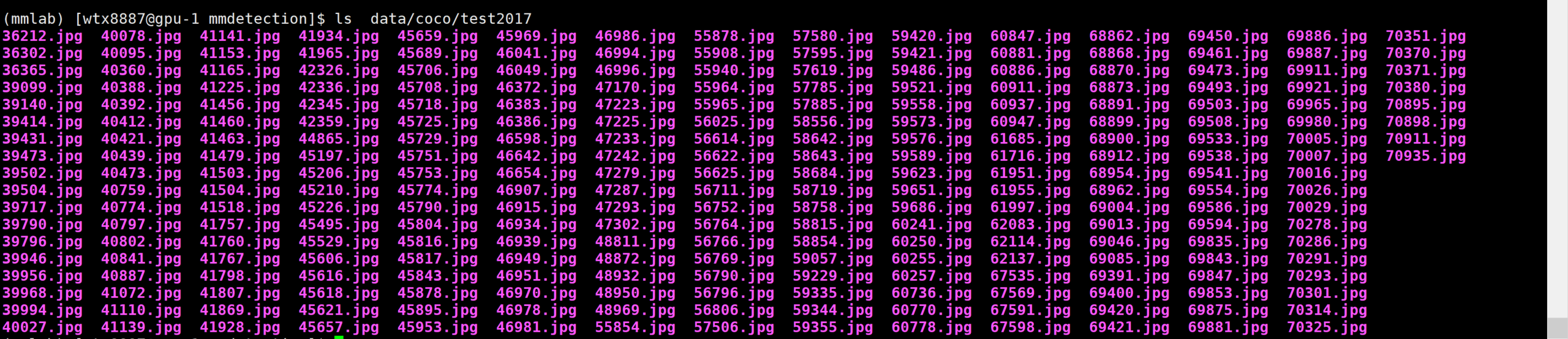 How Can I Output Test Datasets Detection Results Without A Label · Issue 2772 · Open Mmlab