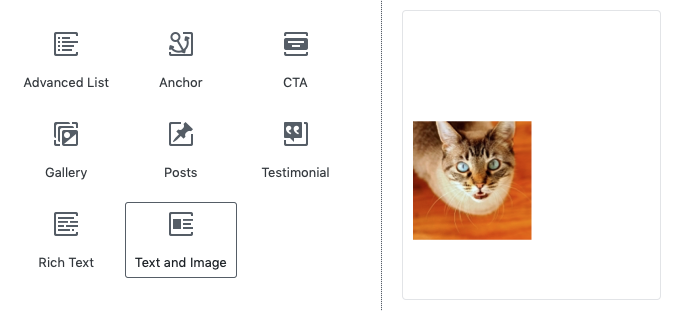 Adding a preview thumbnail to block inserter · Issue #302 · AdvancedCustomFields/acf · GitHub