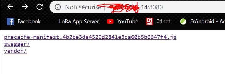 Web Interface Not Working Well After Building Chirpstack Application Server · Issue 384