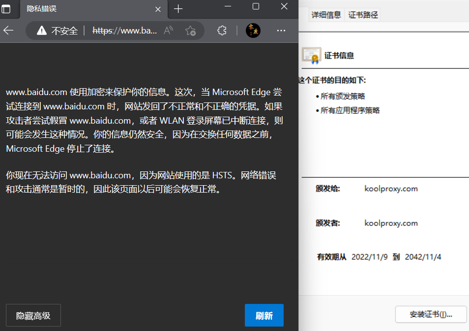 开启koolproxy后进https网页显示隐私错误 · Issue #21 · SWRT-dev/softcenterarmng · GitHub