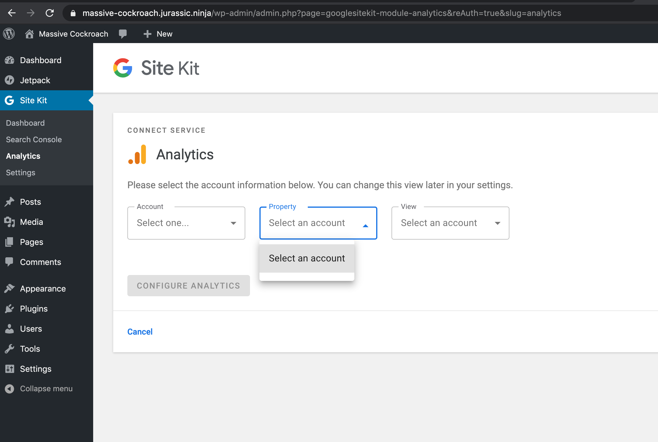 GA Error during setup: Cannot read property 'length' of null · Issue #1039 · google/site-kit-wp ...