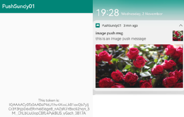 GitHub - open-ecosystem-development/big_pic_push: How to send a push message with a big picture ...