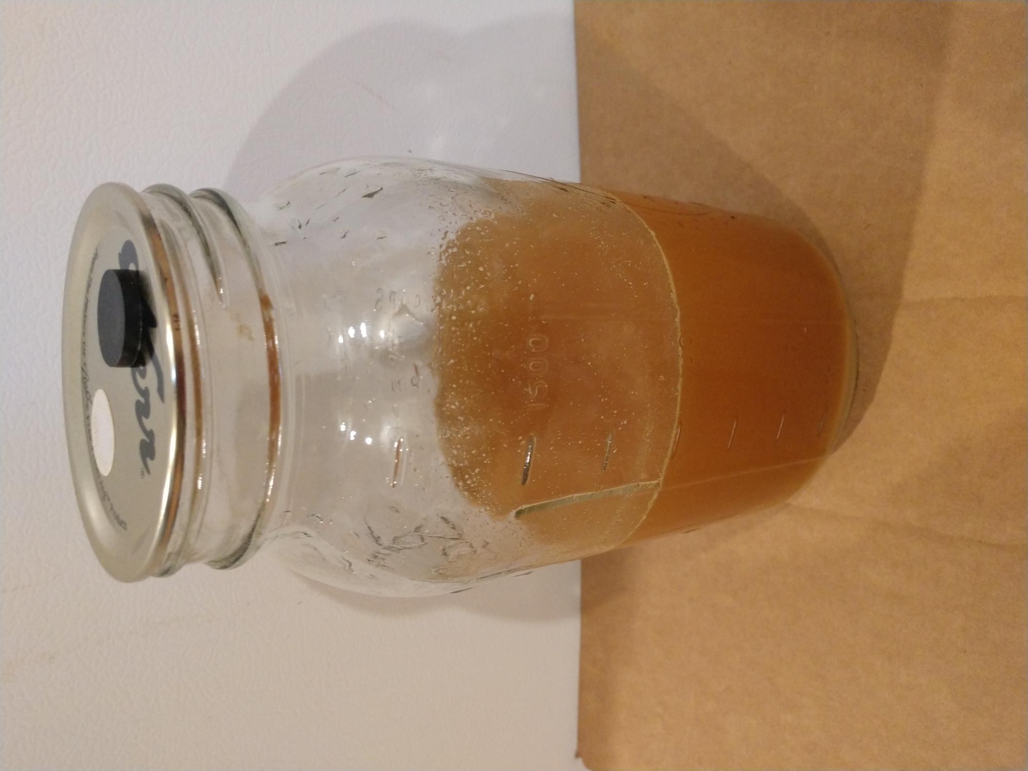 GitHub - dendronStudio/diymycoprotein: Open Source Mycoprotein System ...