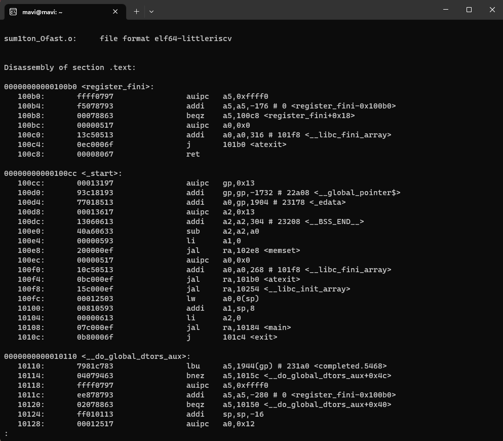GitHub - mavi62/RISC-V