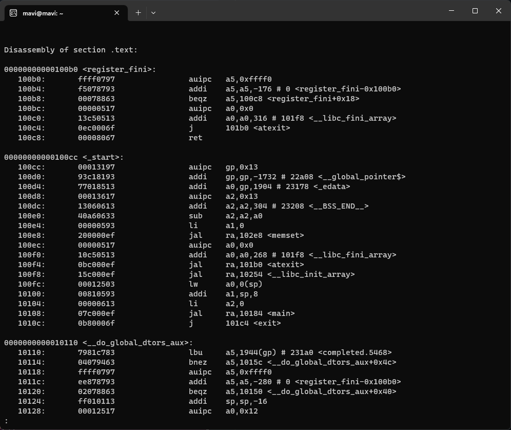 GitHub - mavi62/RISC-V