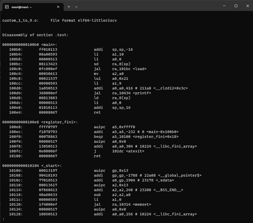 GitHub - mavi62/RISC-V