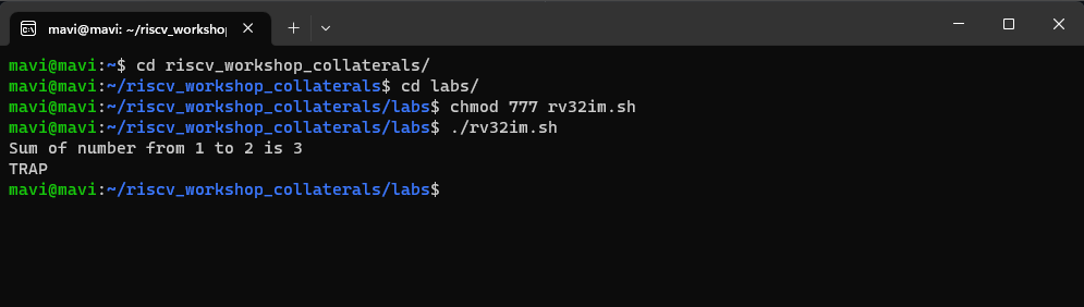 GitHub - mavi62/RISC-V