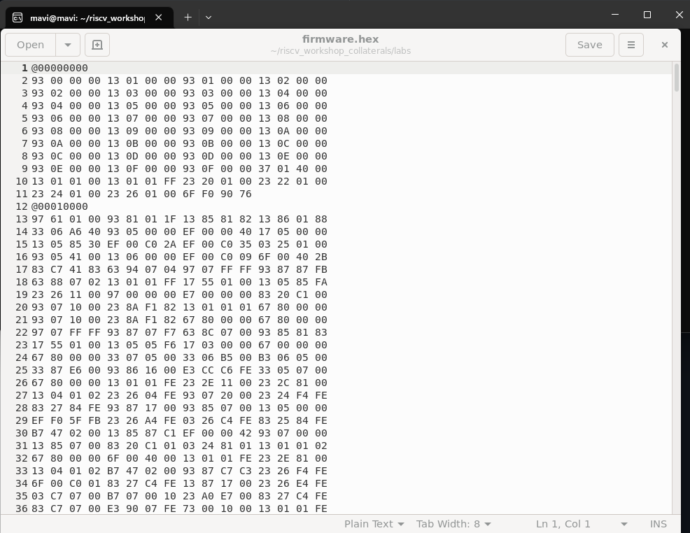 GitHub - mavi62/RISC-V