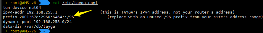 Scaleway ，纯ipv6，通过NAT64获取ipv4的做法。以及clat 服务不稳定的解决方式。 · Issue #7 · zazitufu/scripts · GitHub
