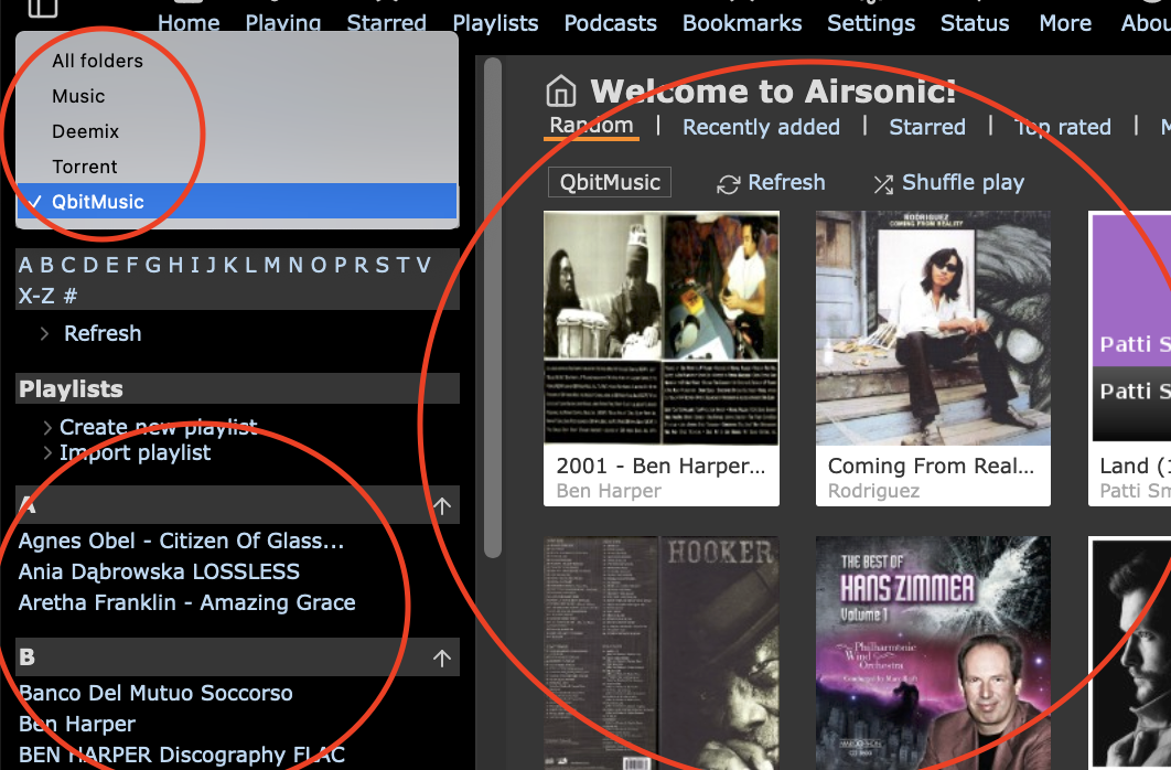 Folders view option · Issue #315 · jeffvli/feishin · GitHub