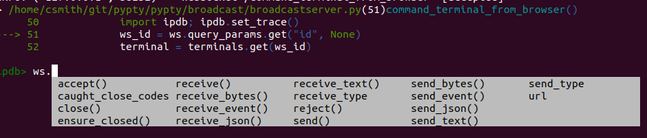 'WebSocket' object has no attribute 'query_params' · Issue #200 · bocadilloproject/bocadillo ...