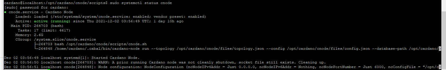 Trouble with gLiveView 1.24.0 · Issue #1212 · cardano-community/guild-operators · GitHub