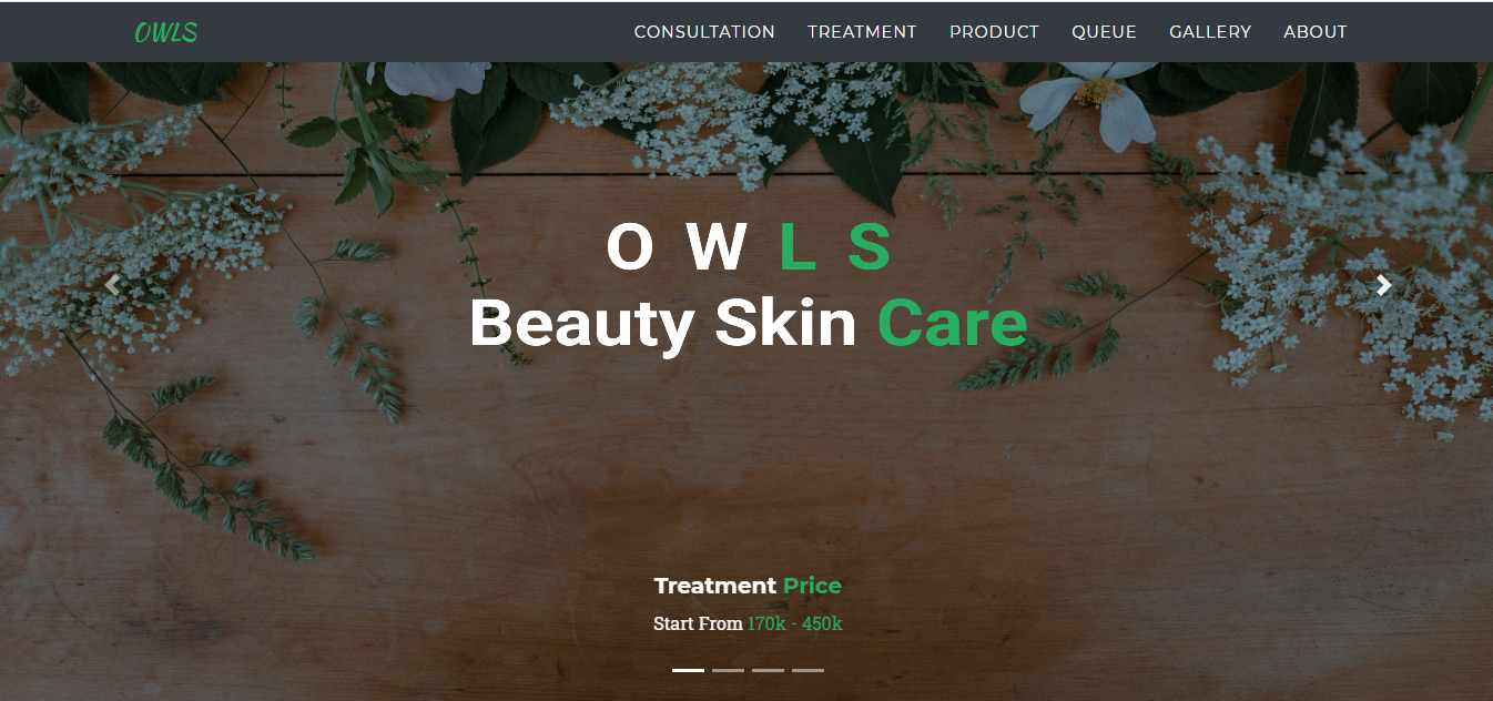 GitHub - dimasaddriansyah/owls: is a beauty clinic located in Indonesia, visitors can consult ...